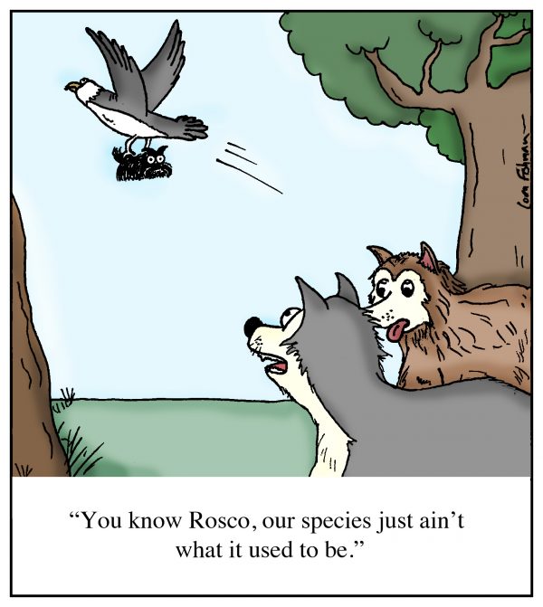 Cartoon: "You know Rosco, our species just ain't what it used to be ...